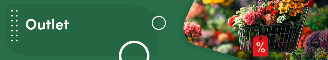Outlet - OASIS® Floral México